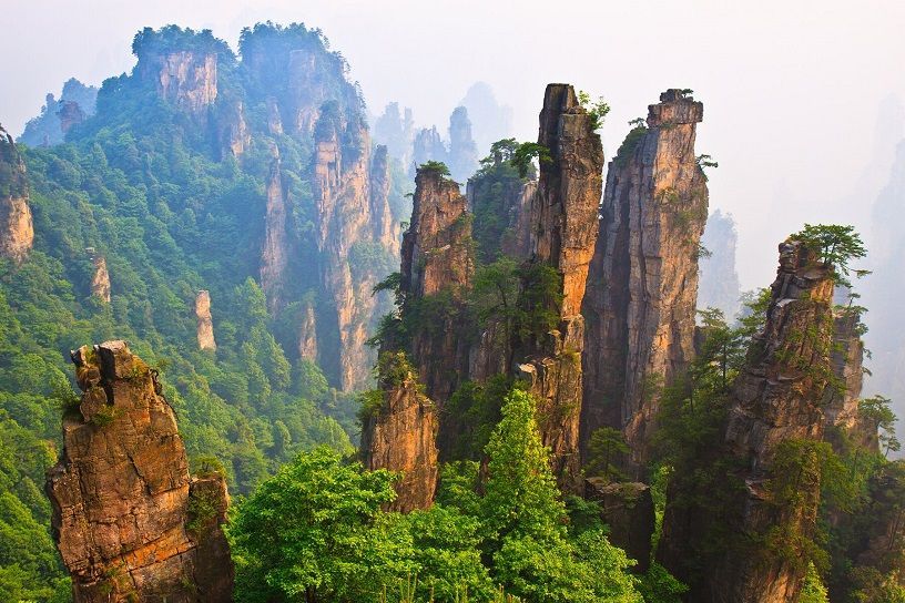 Bucket List Material: 12 Beautiful Forests Around The World