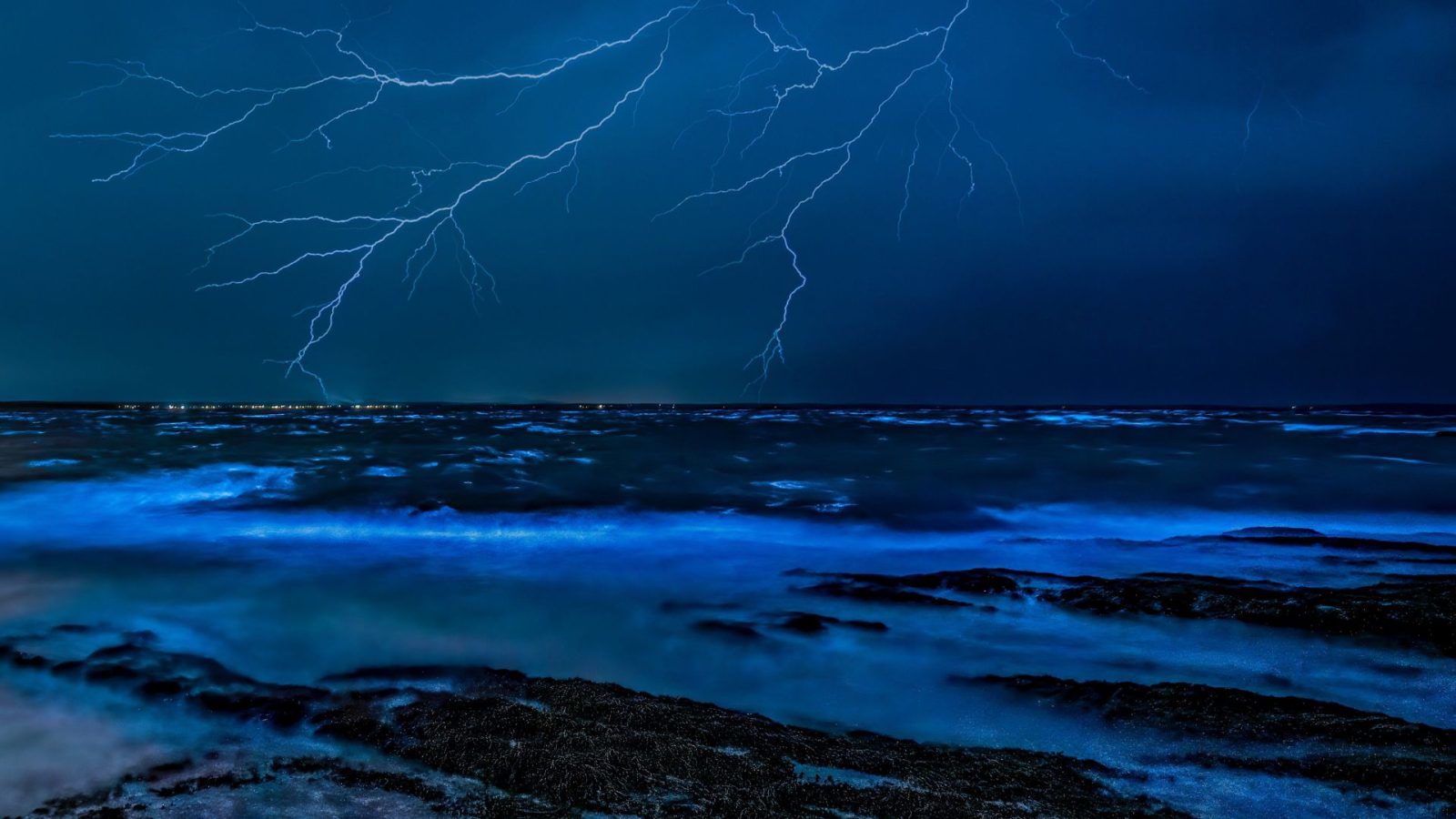 Places Around The World That Are Bioluminescent