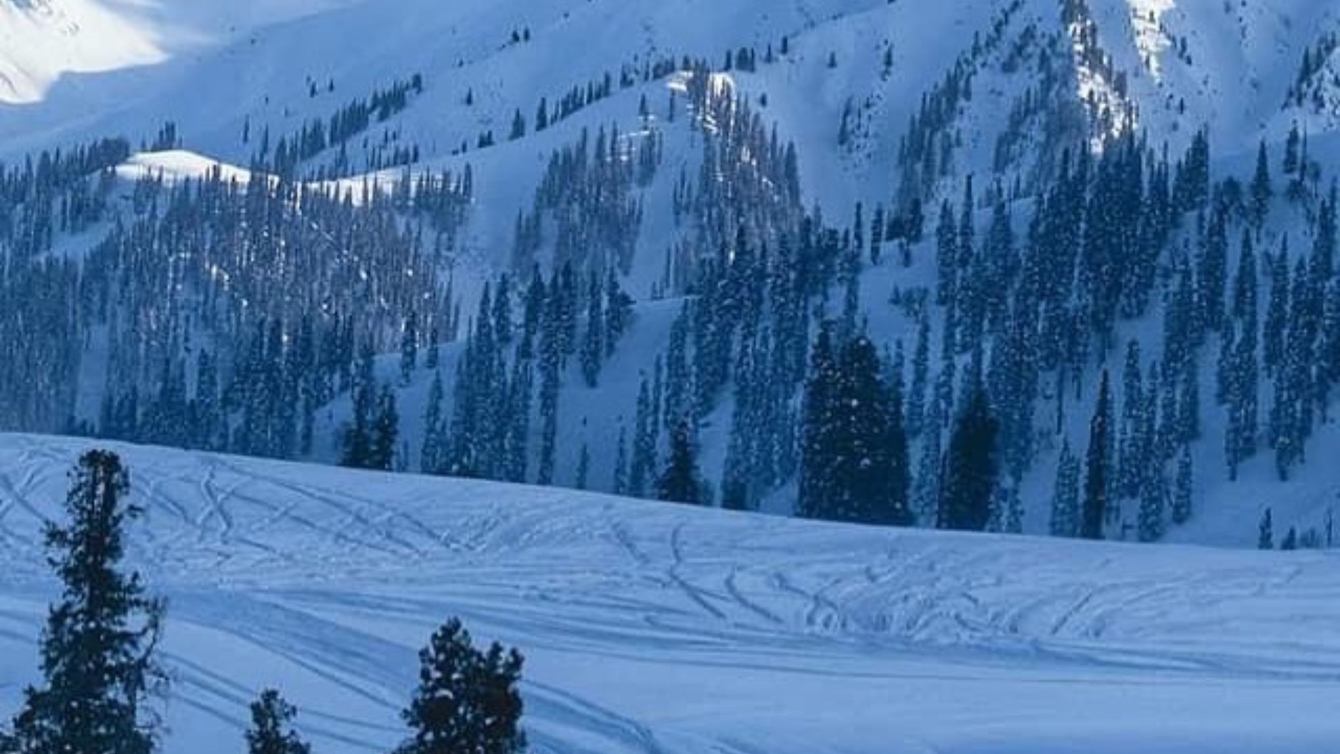 Kashmir Snowfall: Mesmerising Images Of The White-Covered Valley