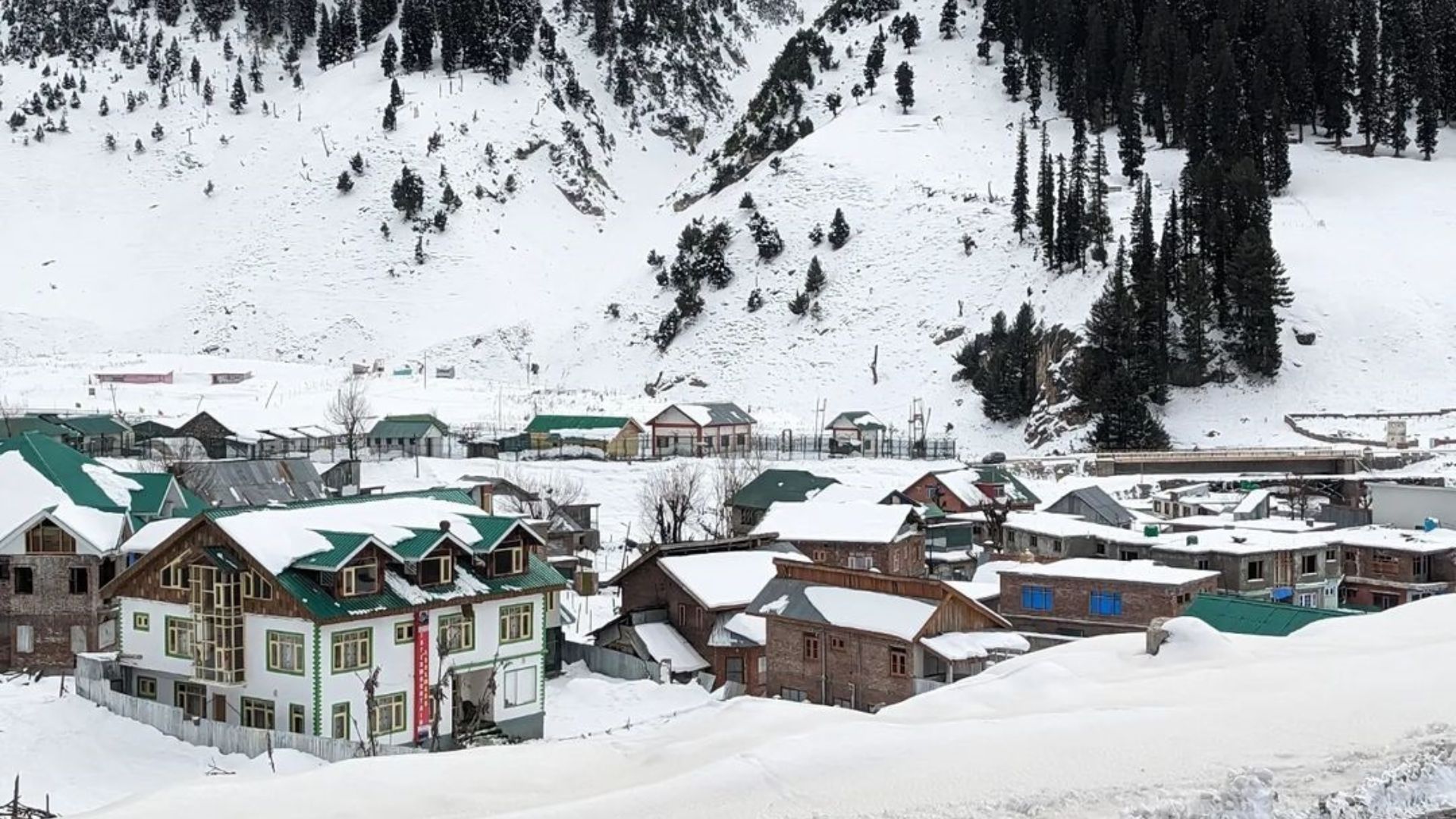 Kashmir Snowfall: Mesmerising Images Of The White-Covered Valley