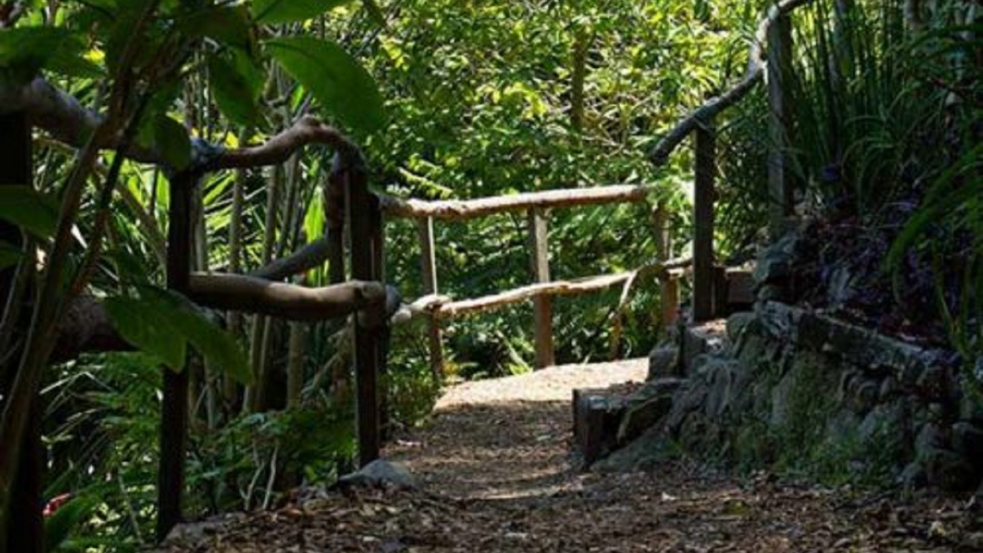 Enriching Guided Tours And Other Free Things To Do In Sydney