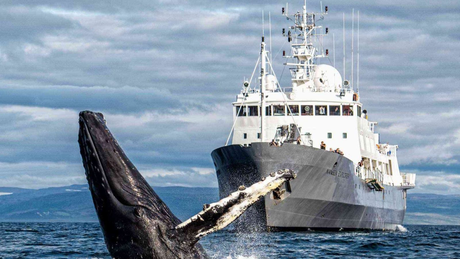 This Luxury Expedition Ship Goes To Some Of The Coolest Destinations