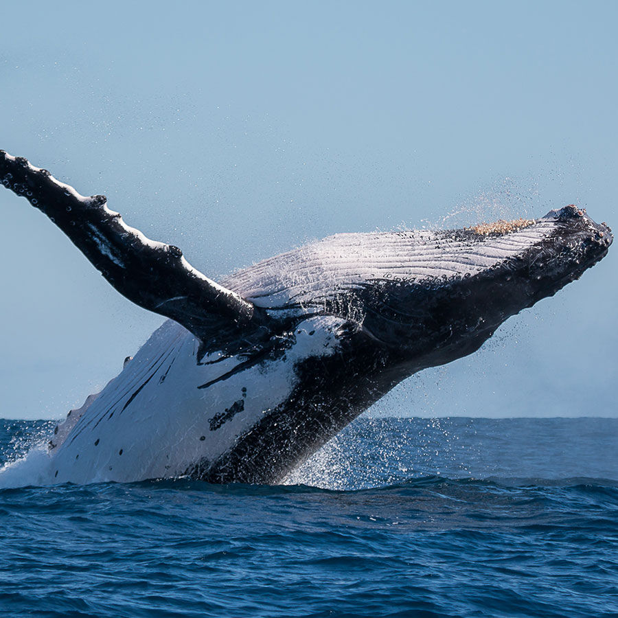 Outdoors | Travel and Leisure Asia | Global