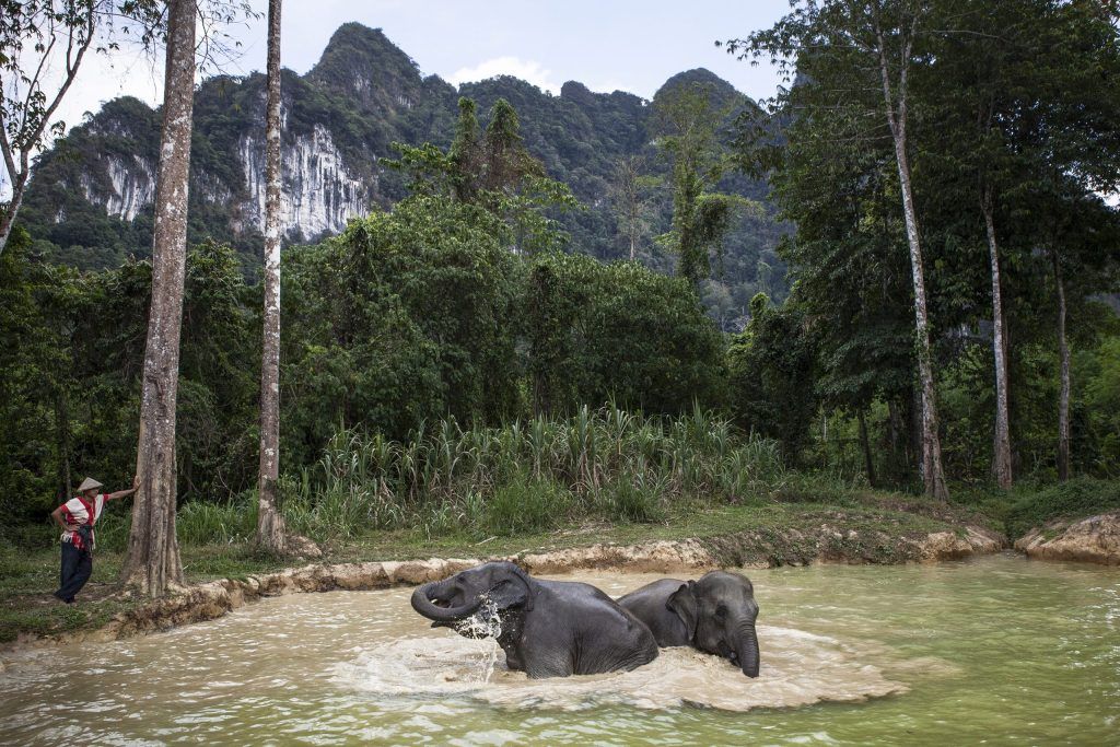 This Magical Lake Is Like Being in Avatar and Atlantis at the Same Time