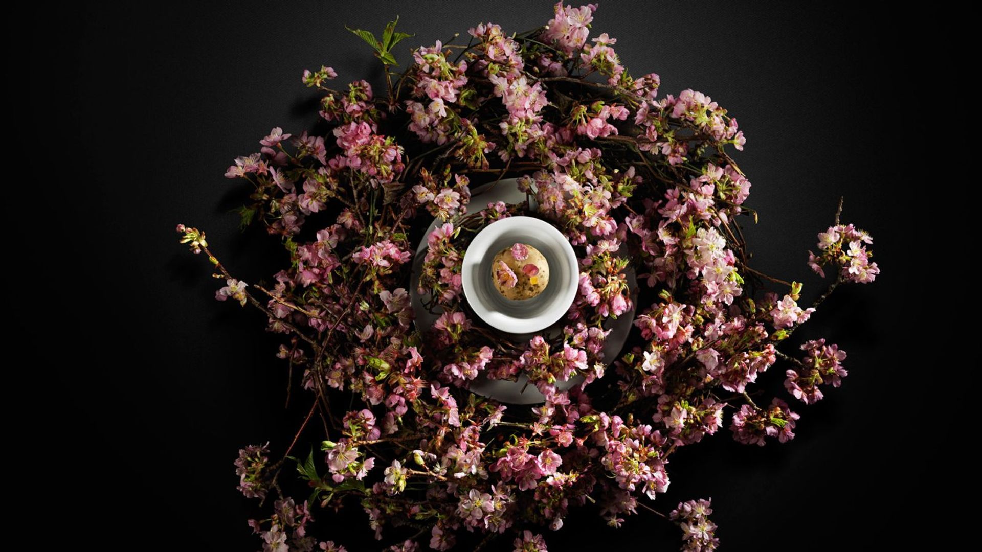 How to Snag a Seat in Singapore with Revered Chef Yoshihiro Narisawa