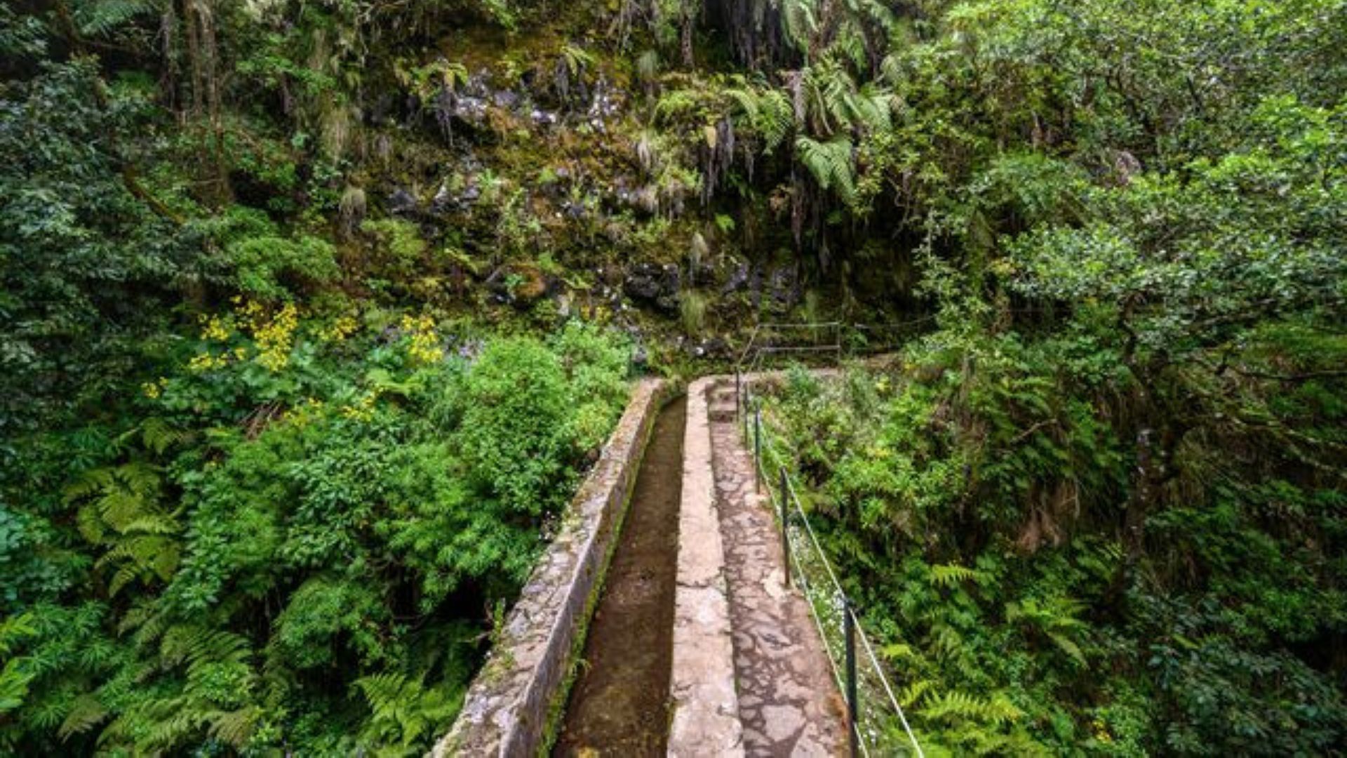 Most Beautiful Places In Portugal That Are Definitely Worth A Visit