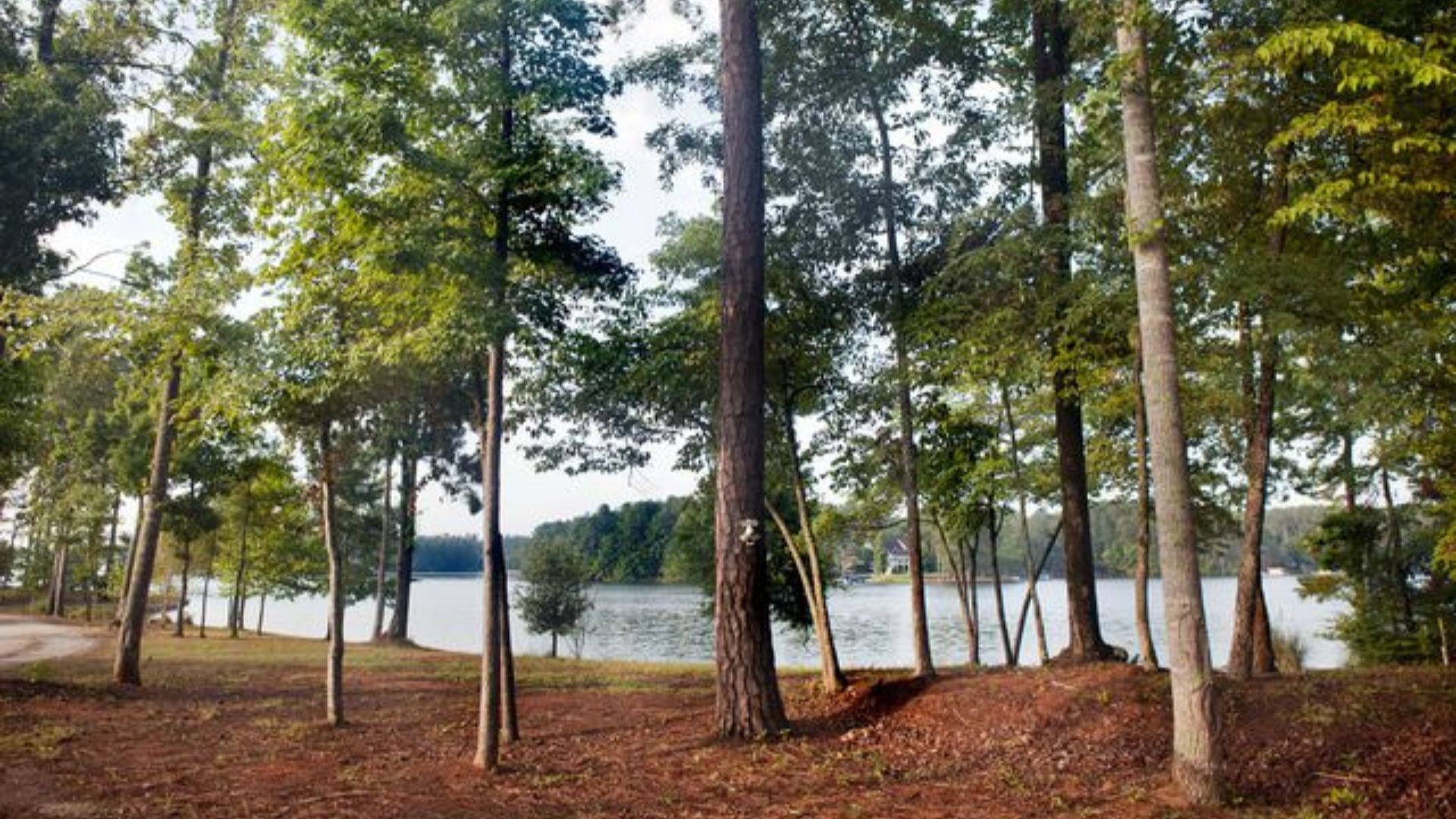 Best Places In Georgia - From Quaint Mountain Towns To Sandy Beaches