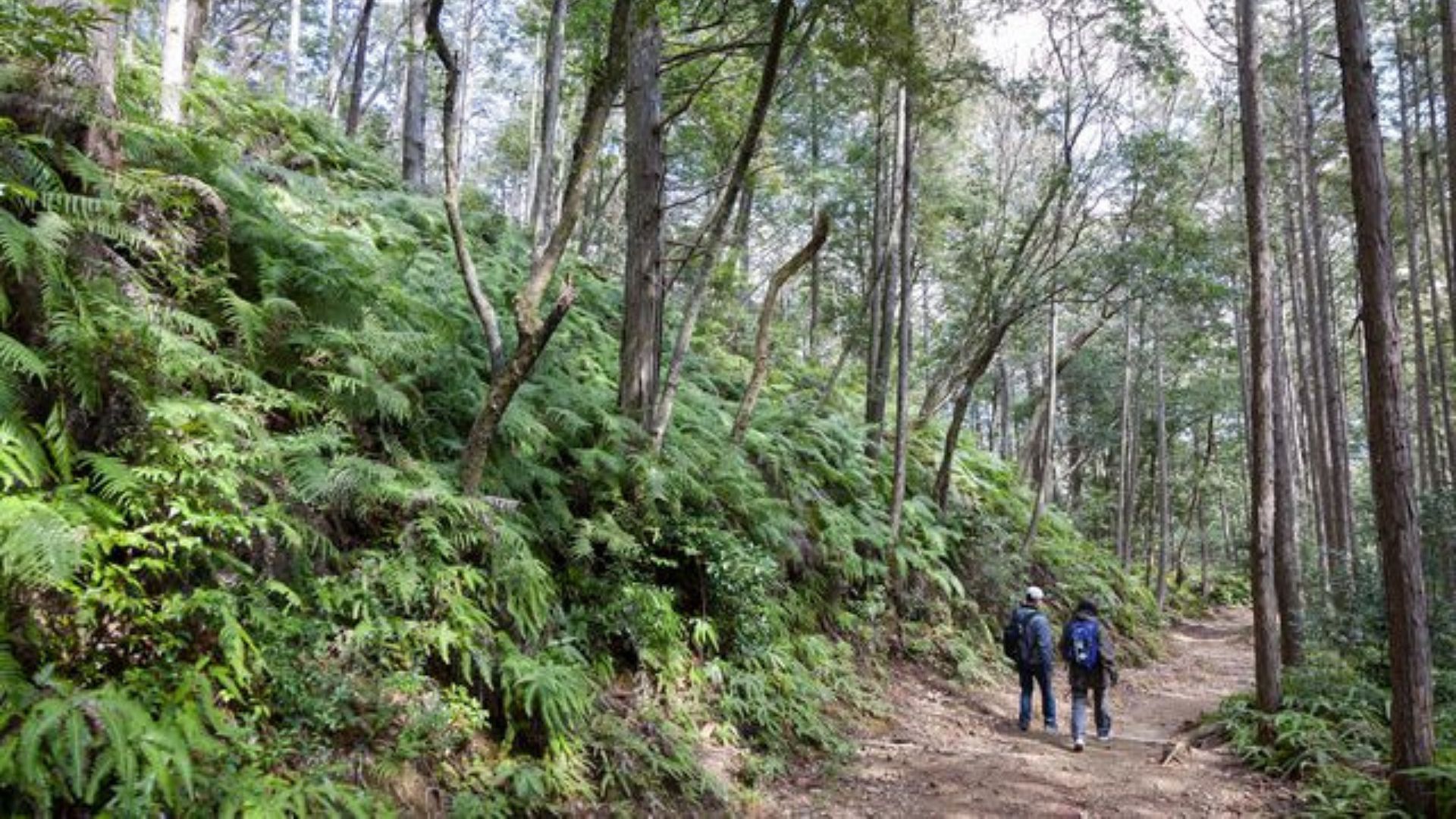 Epic Hiking Trails Around The World