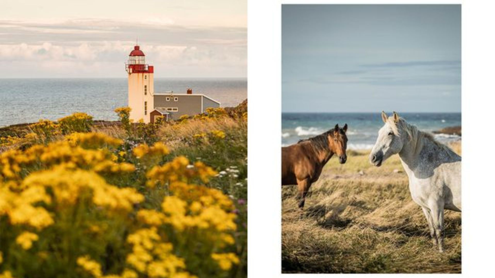 These Islands Off Canada’s Atlantic Coast Are Part Of France