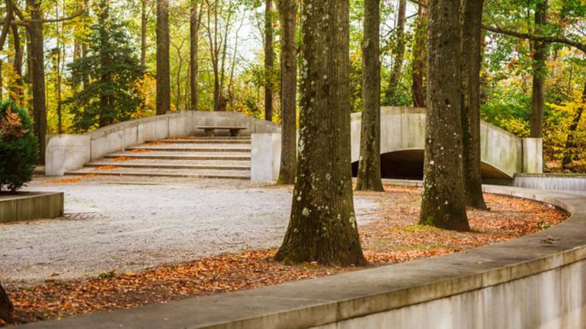 The Best Things To Do In Washington DC