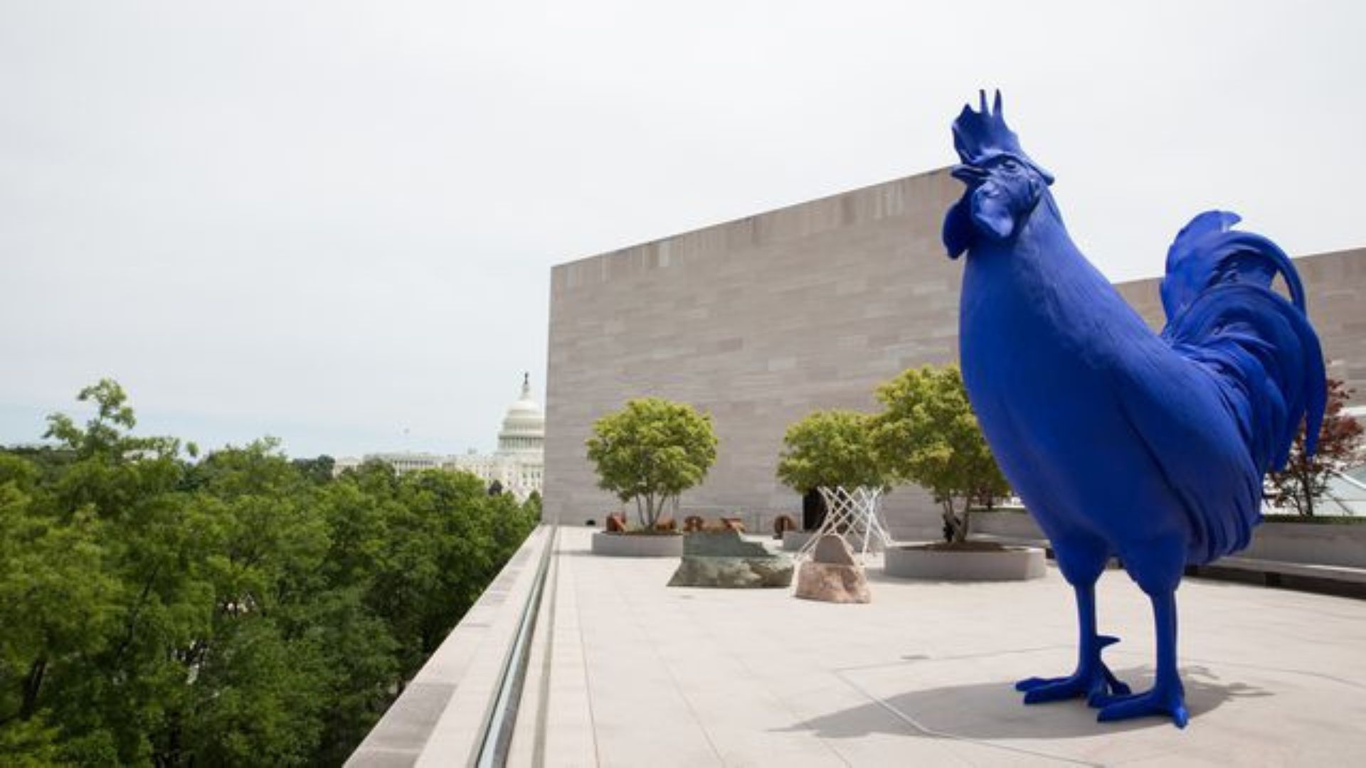 The Best Things To Do In Washington DC