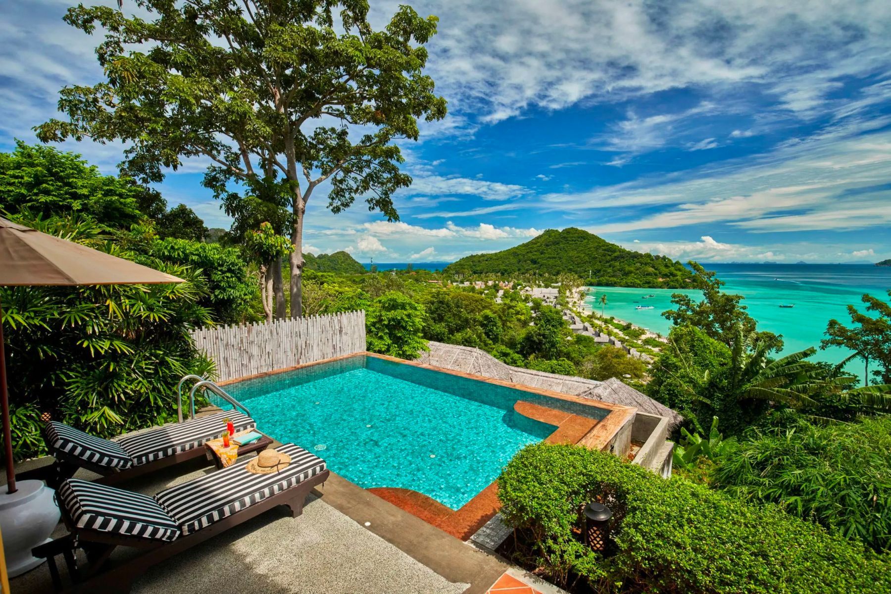 How Green Is My Island? Ask All the Bamboo Sharks I’ve Rewilded