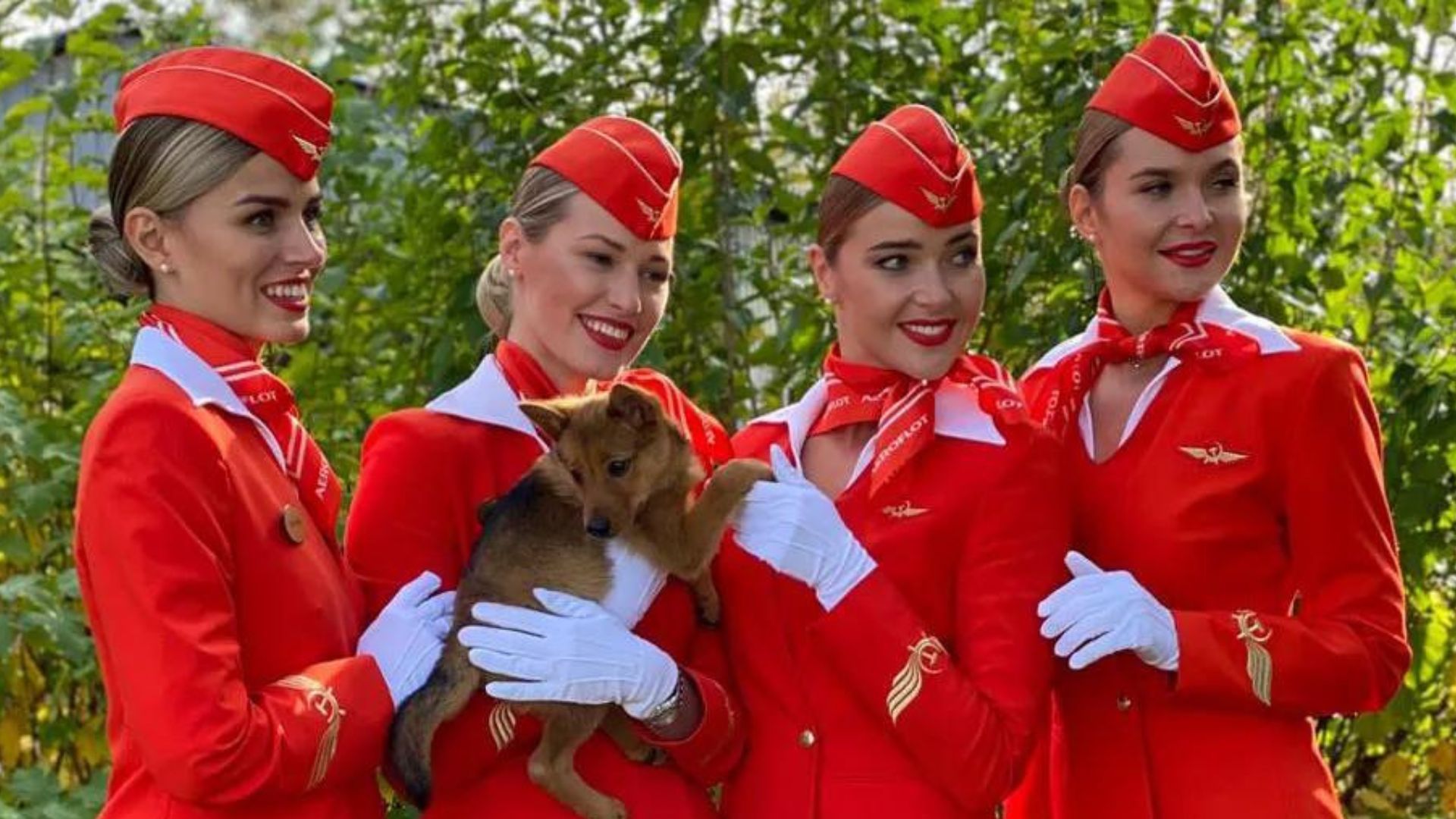 Travel With Your Fur Buddies On These Pet-Friendly Airlines