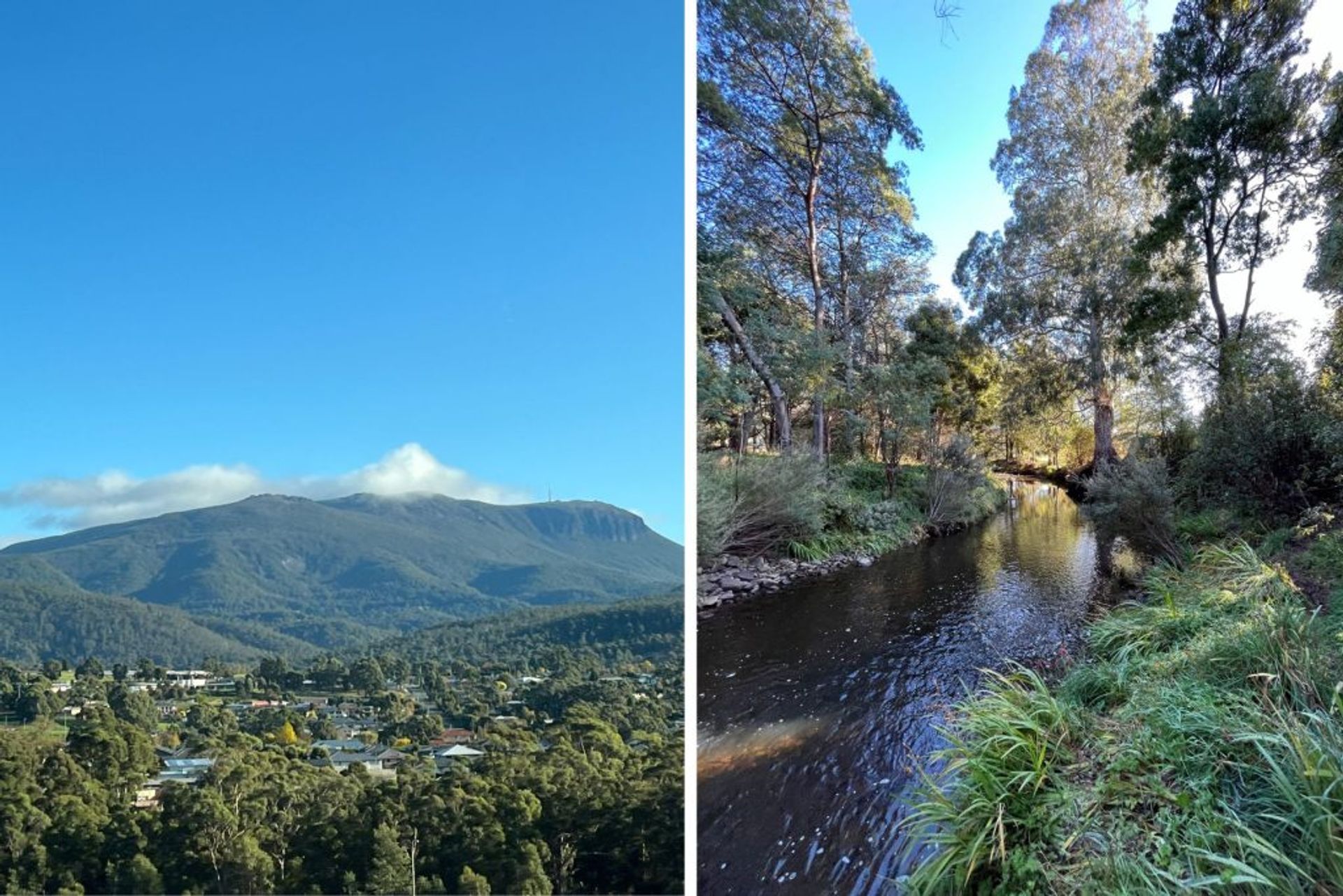Ignore Those Aussies Who Say You Can’t Spot a Platypus in the Wild