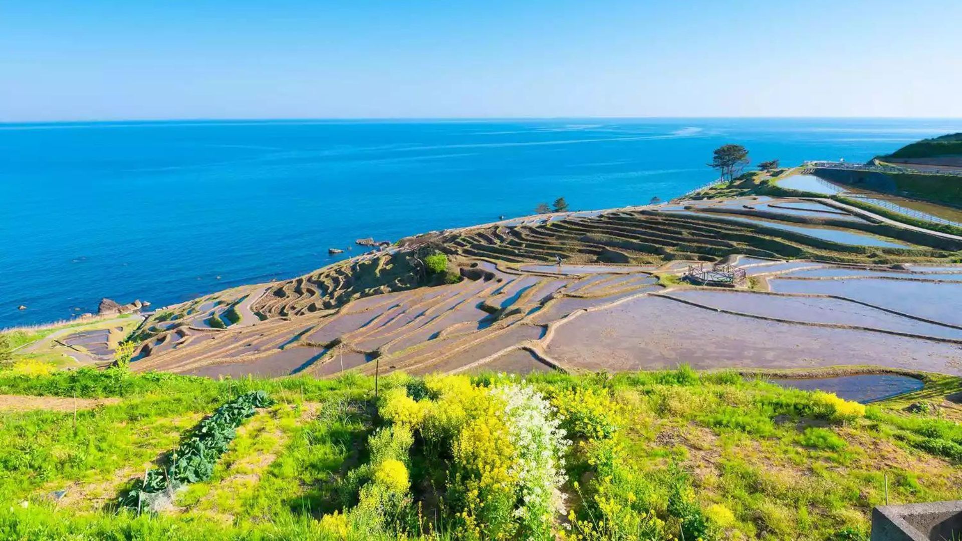 25 Most Beautiful Places In Japan