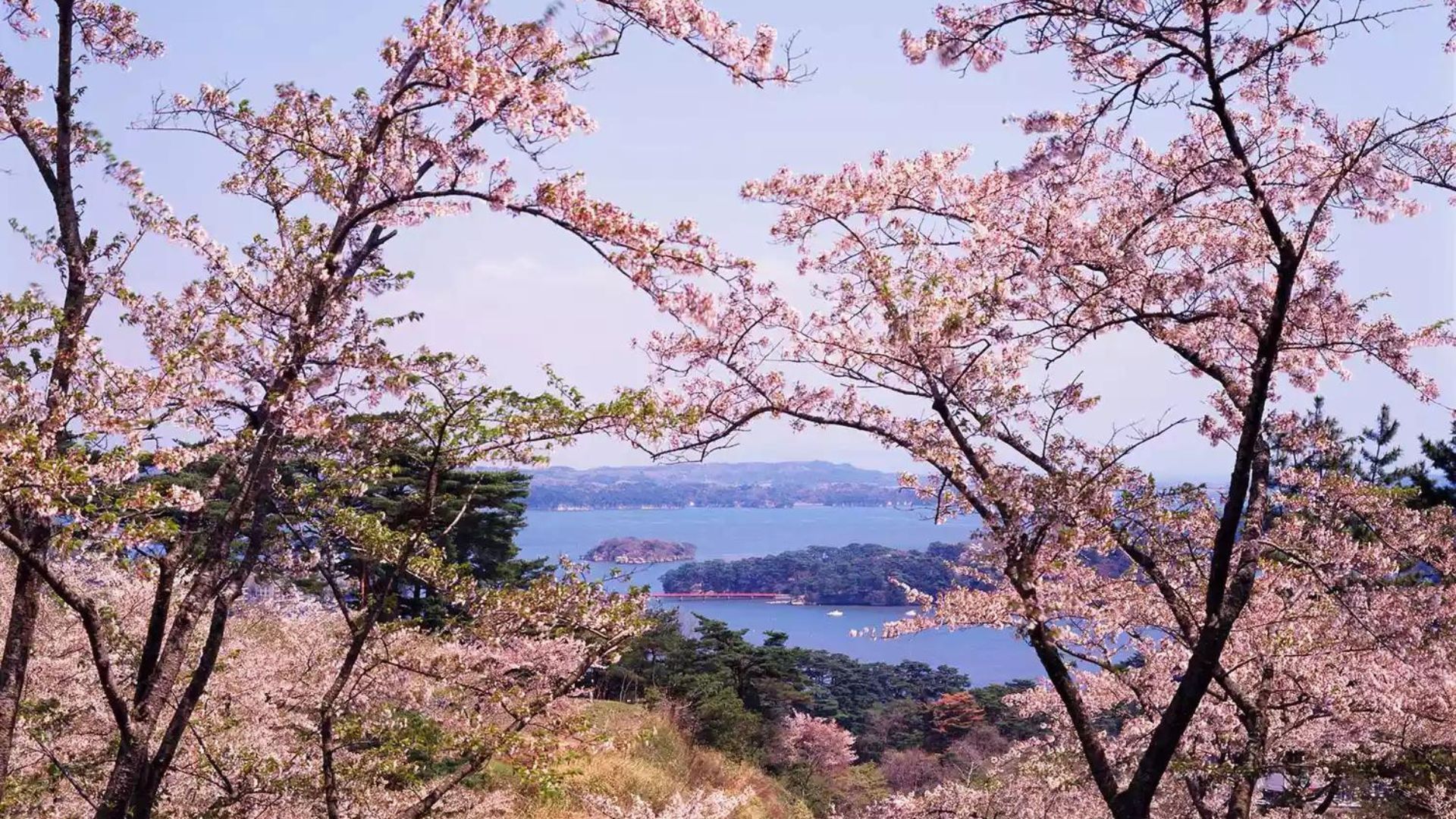 25 Most Beautiful Places In Japan
