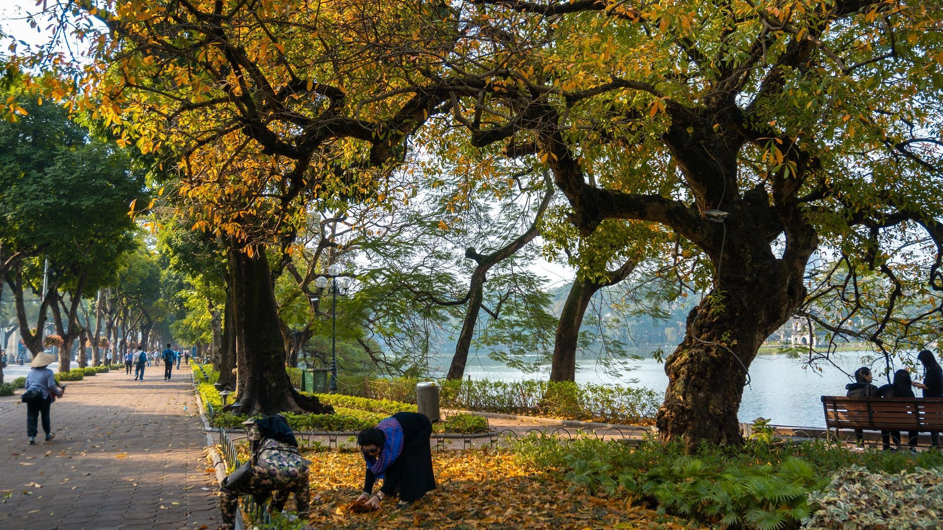 Best Places To Witness Fall Foliage Across Asia
