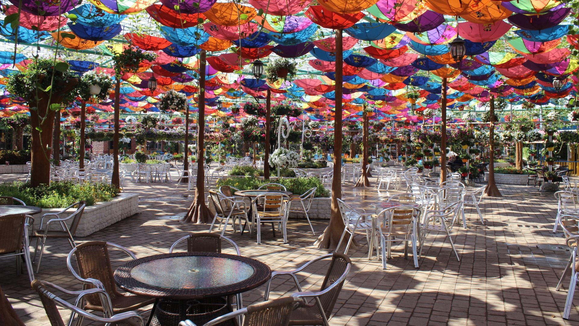 All You Need To Know About Dubai Miracle Garden - A Floral Wonderland!