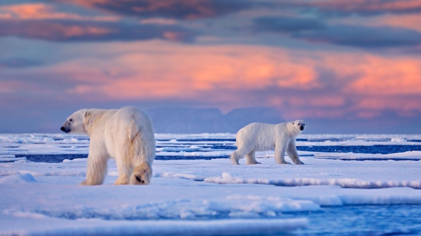 Learn About The Secrets Of The Cold Deserts Across The World