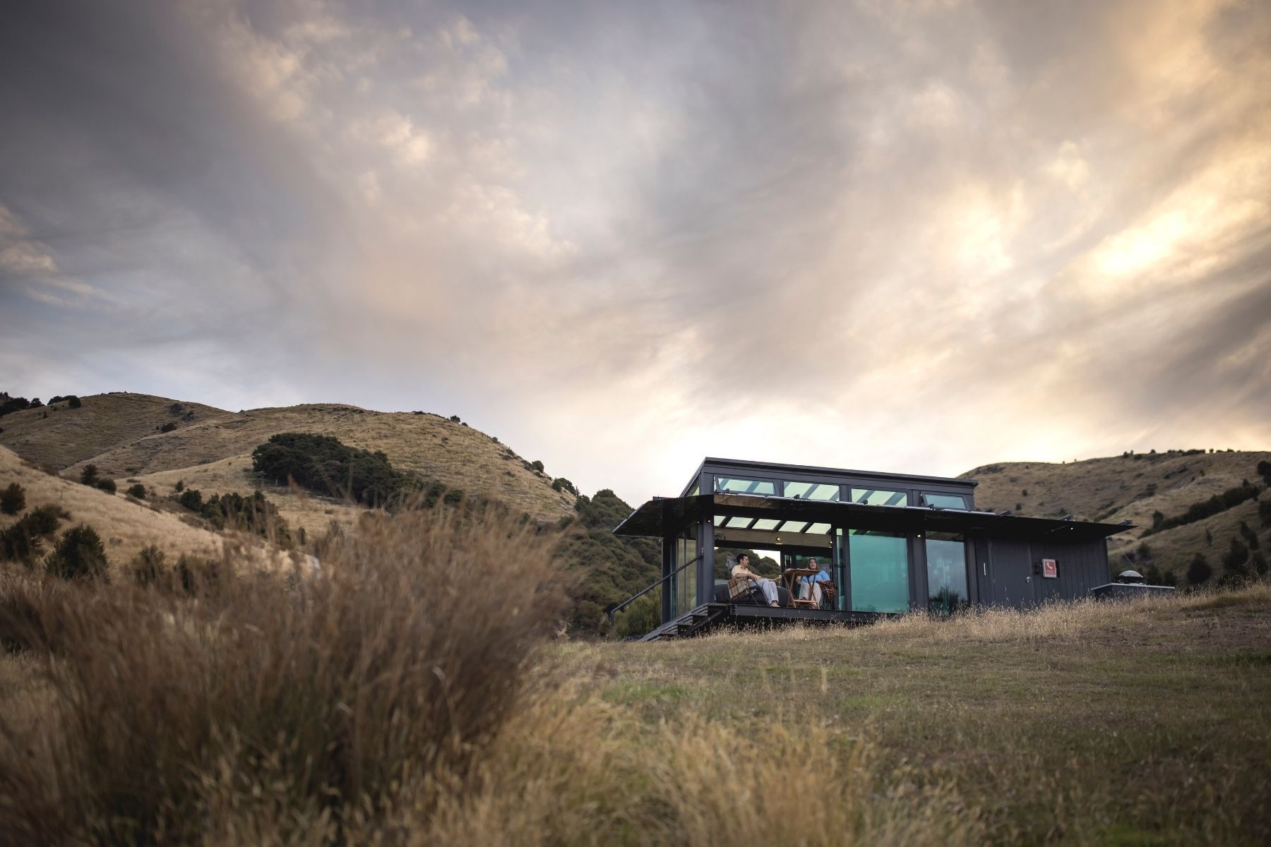 Coming to You Live From New Zealand With a Whale of a Tale