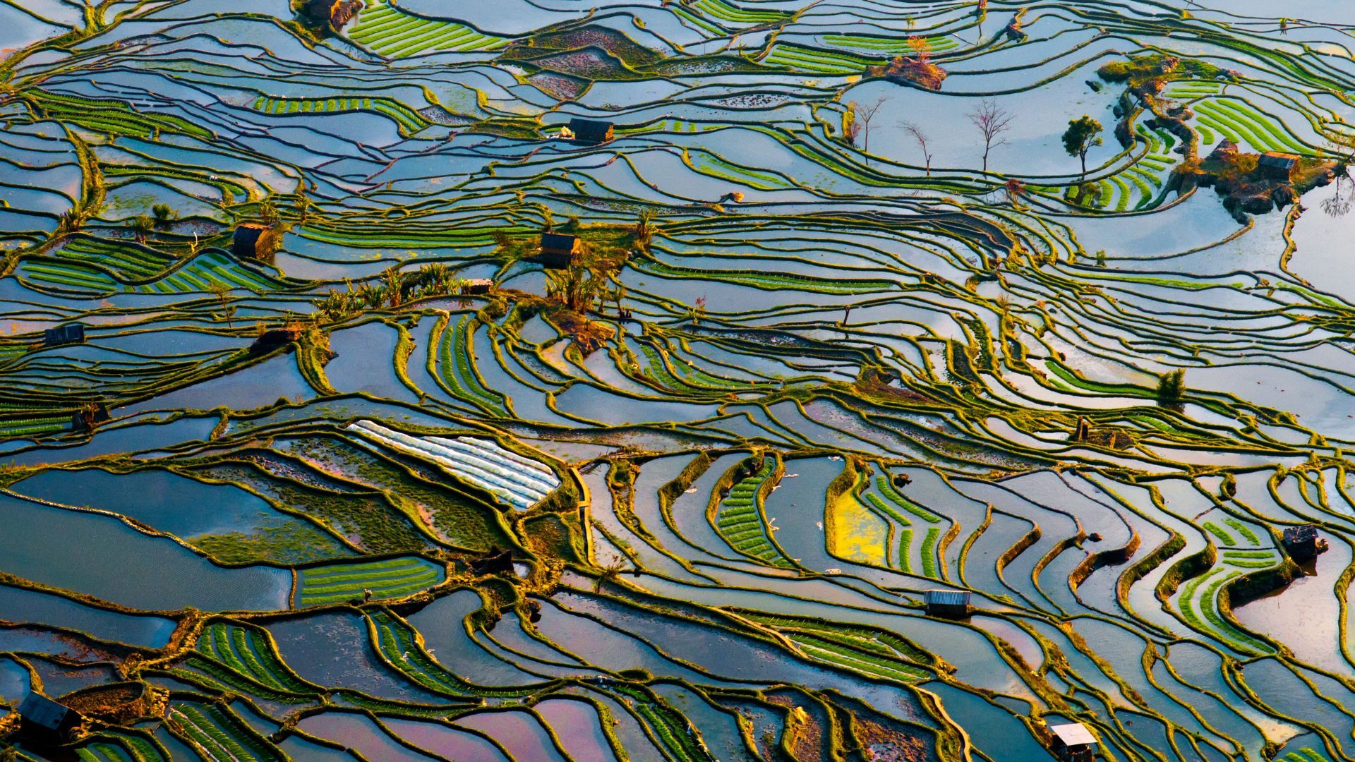 The Most Beautiful Places To Visit In China