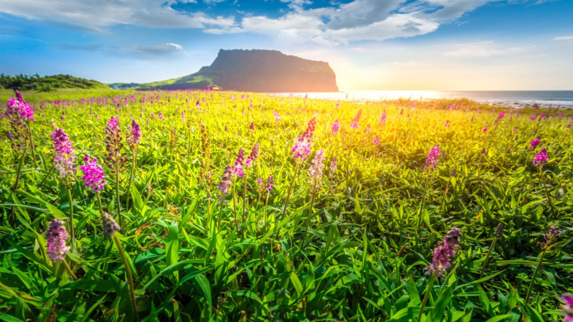 10 Most Beautiful Places To Visit In South Korea (With Photos) - 2024