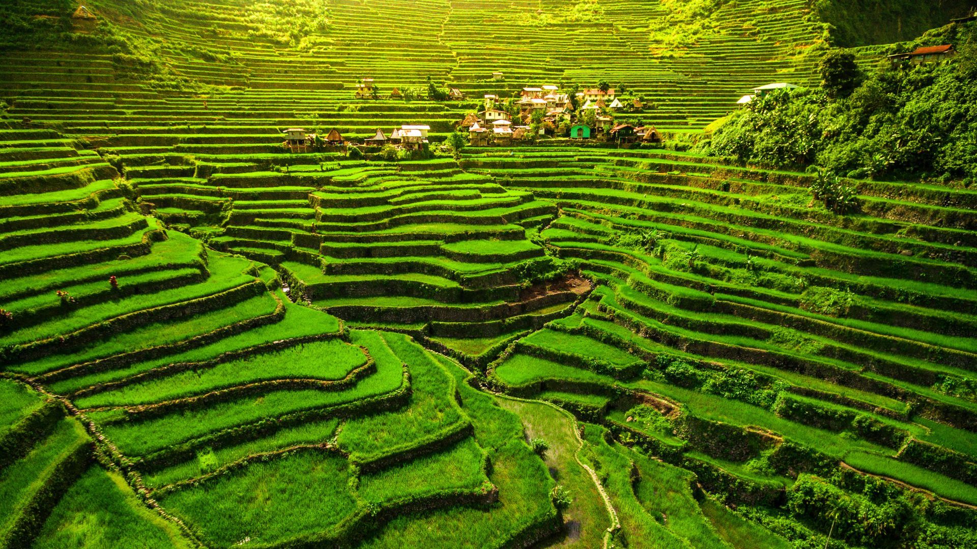 10 Most Beautiful Places To Visit In The Philippines in 2025 (With Photos)
