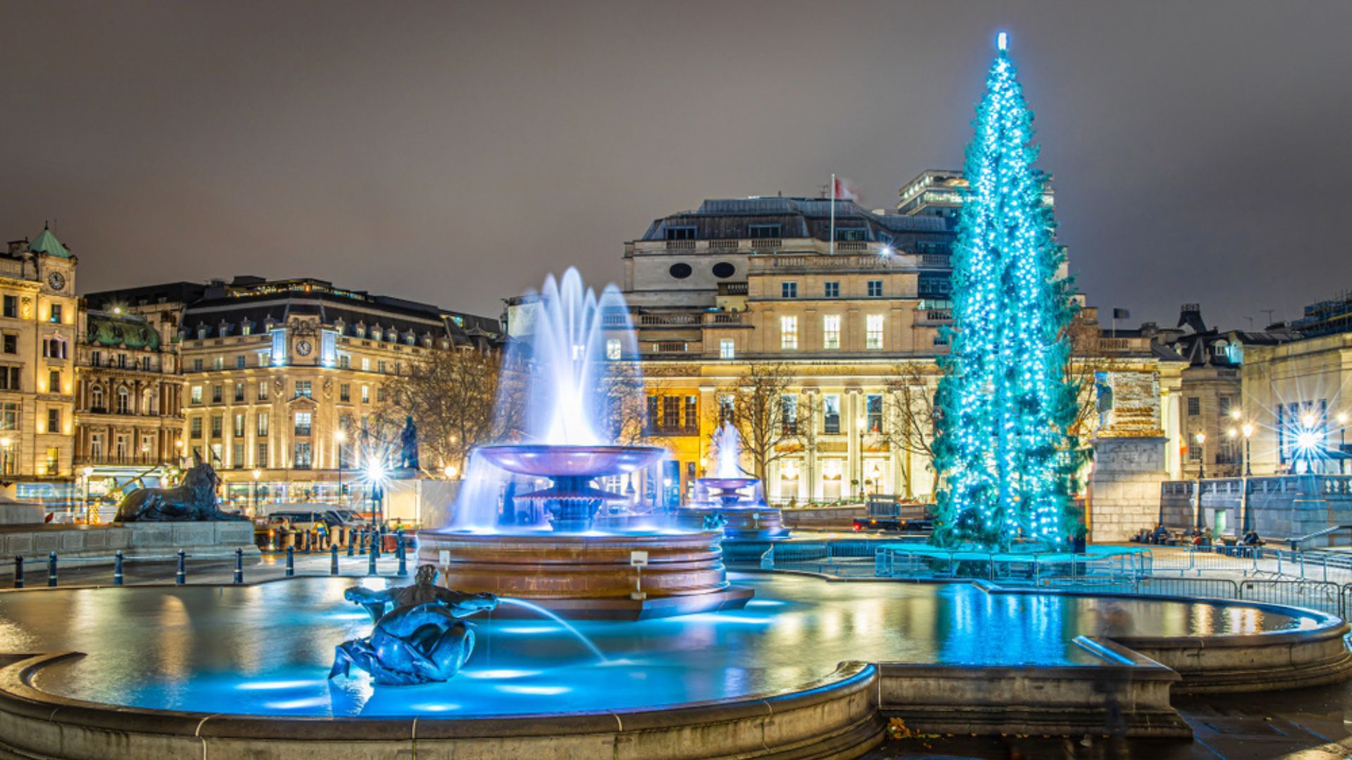 7 Most Stunning & Beautiful Christmas Tree In The World 2023 (Check Photos)