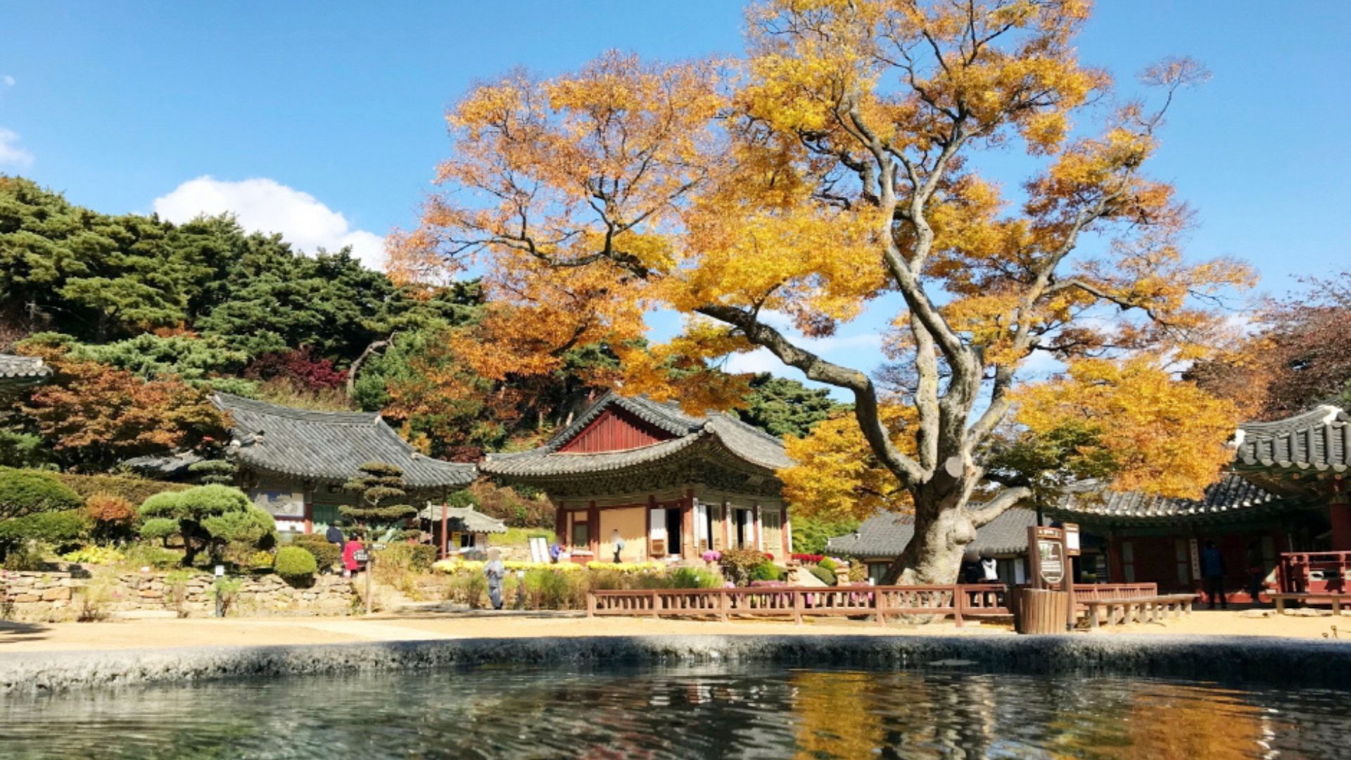 Guide to Incheon, South Korea: Single's Inferno Season 3 Filming Location