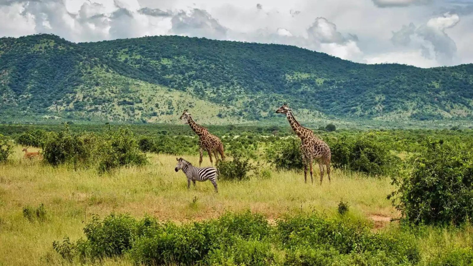 A Guide To Tanzania's Best Under-The-Radar National Parks