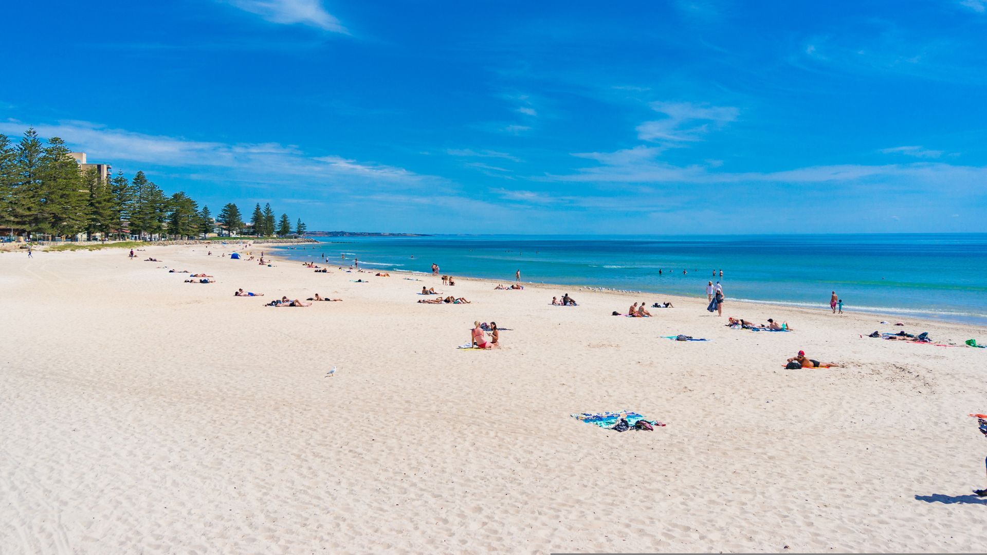 Ultimate Guide To 10 Best Things To Do In Adelaide In 2024 (With Photos)