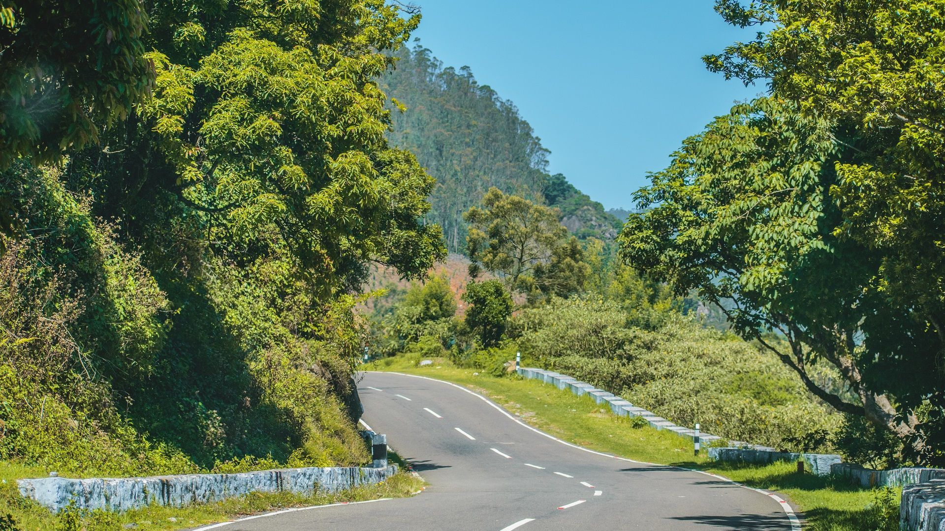 Best Hill Stations in South India To Take You Beyond The Bustle