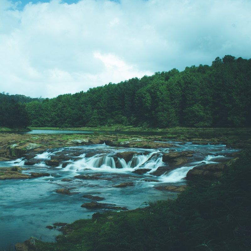 Tourist Places In Wayanad: A Traveller's Guide To The 'Ooty Of Kerala'