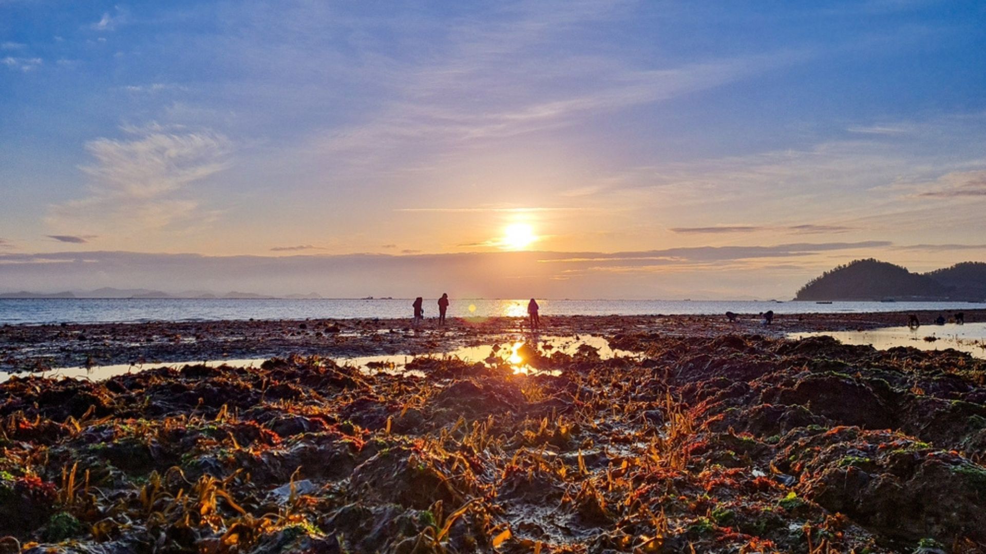 Islands in South Korea: Your Guide To The Stunning Seascape Wonders