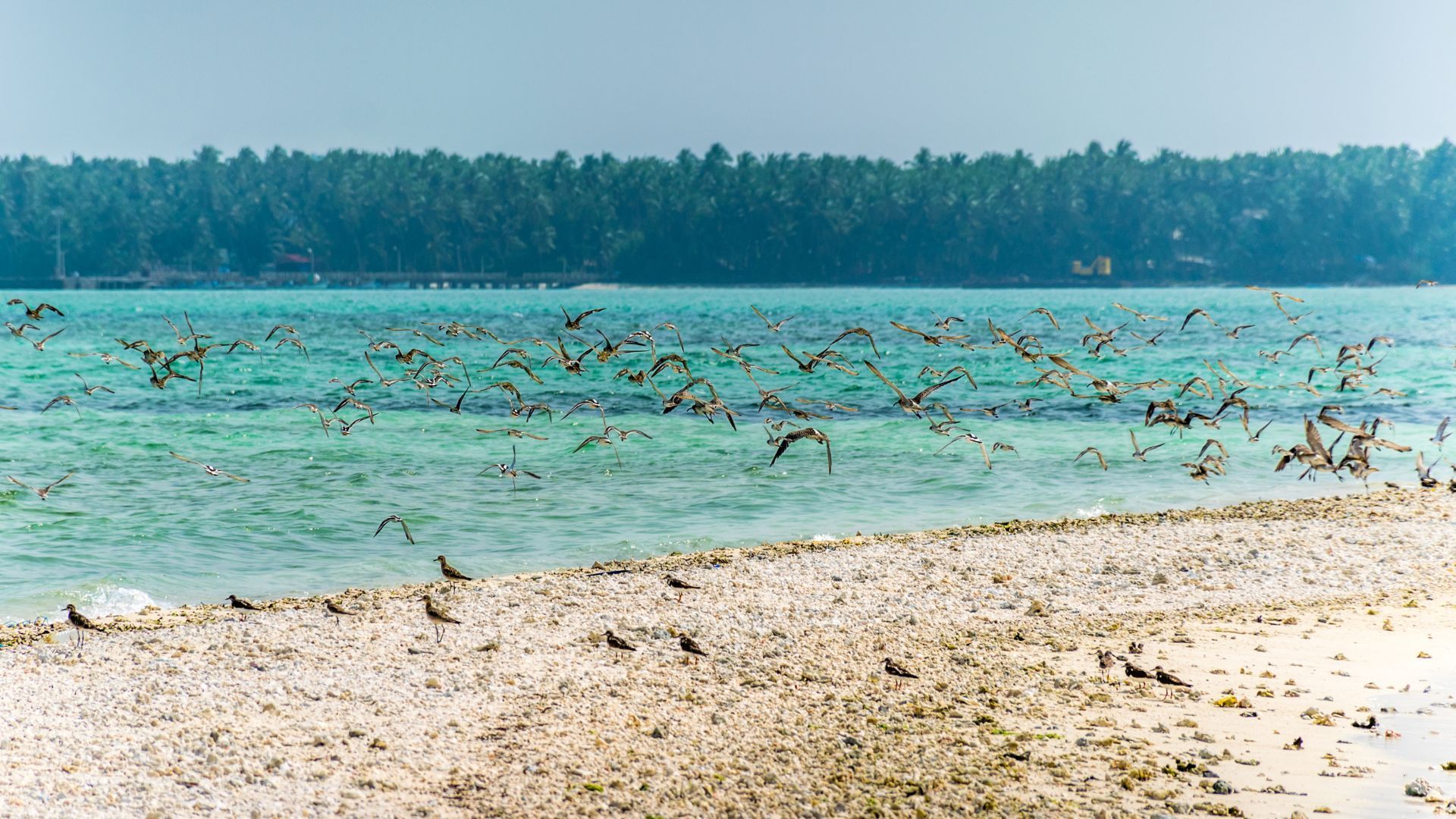 Most Beautiful Places In Lakshwadeep - Scenic Natural Attractions 2024