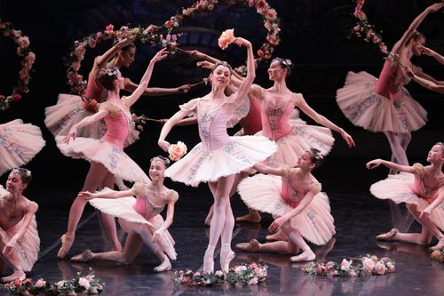 The T+L Cultural Calendar: Best Events in Hong Kong This Spring 2024