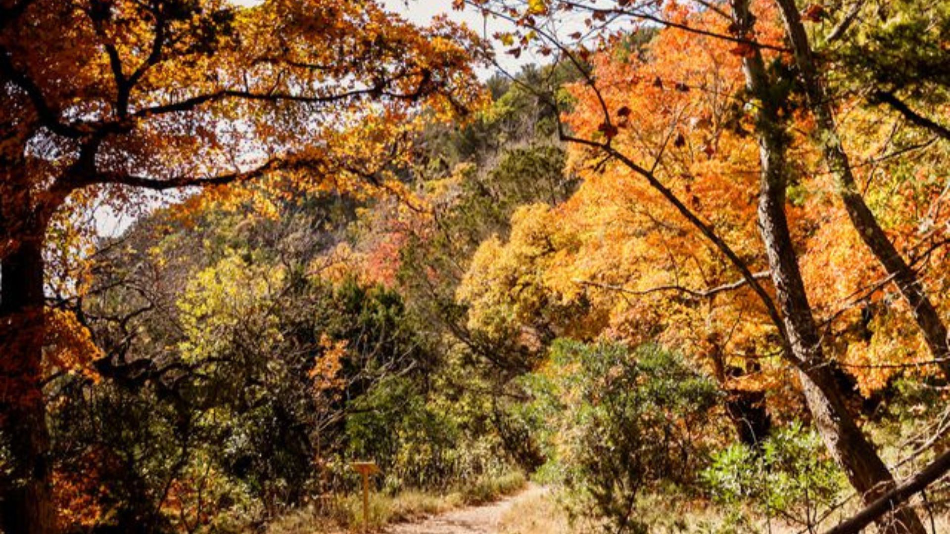 25 Most Beautiful Places In Texas, According To A Born And Raised Texan