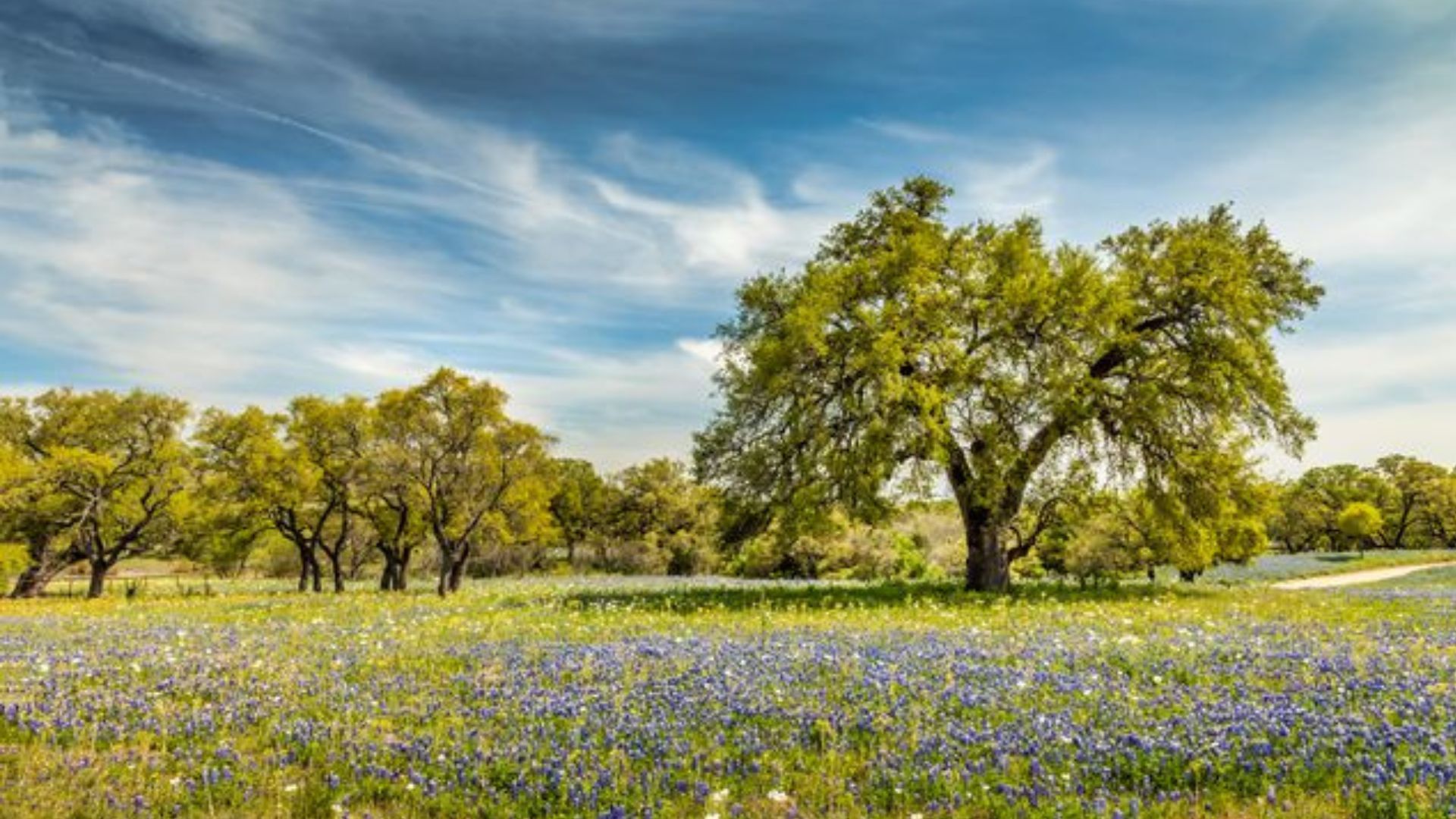 25 Most Beautiful Places In Texas, According To A Born And Raised Texan