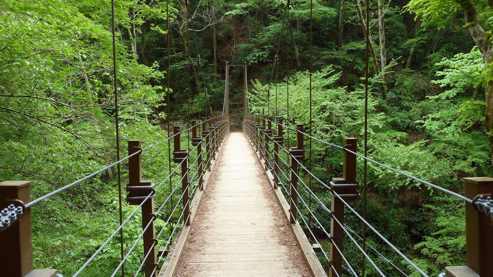 Valentine’s Day In Japan: Here's How To Spend The Day Celebrating Love