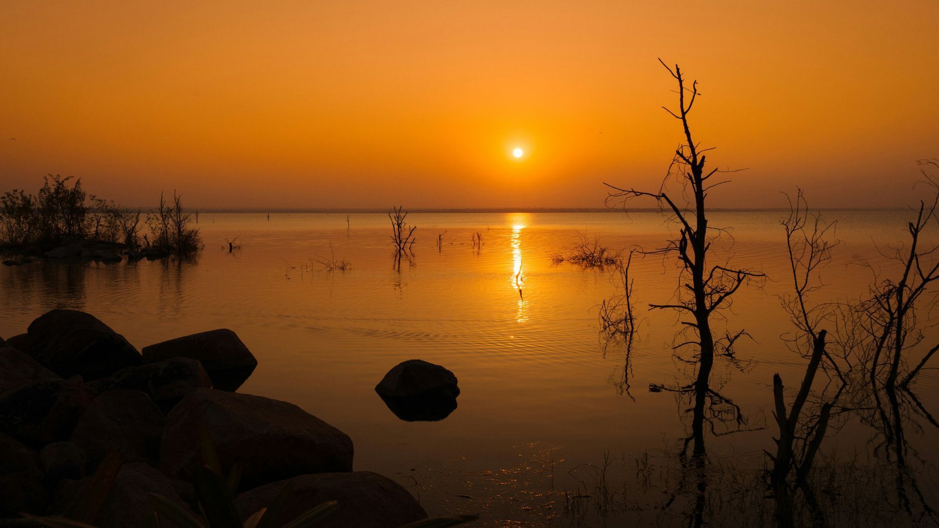Most Beautiful Places In Hyderabad: Explore Scenic Attractions 2024
