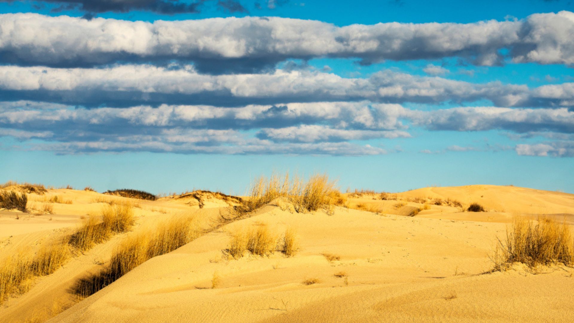 Beautiful Places In Texas: Exploring Texas Scenic Spots & Attractions 2024