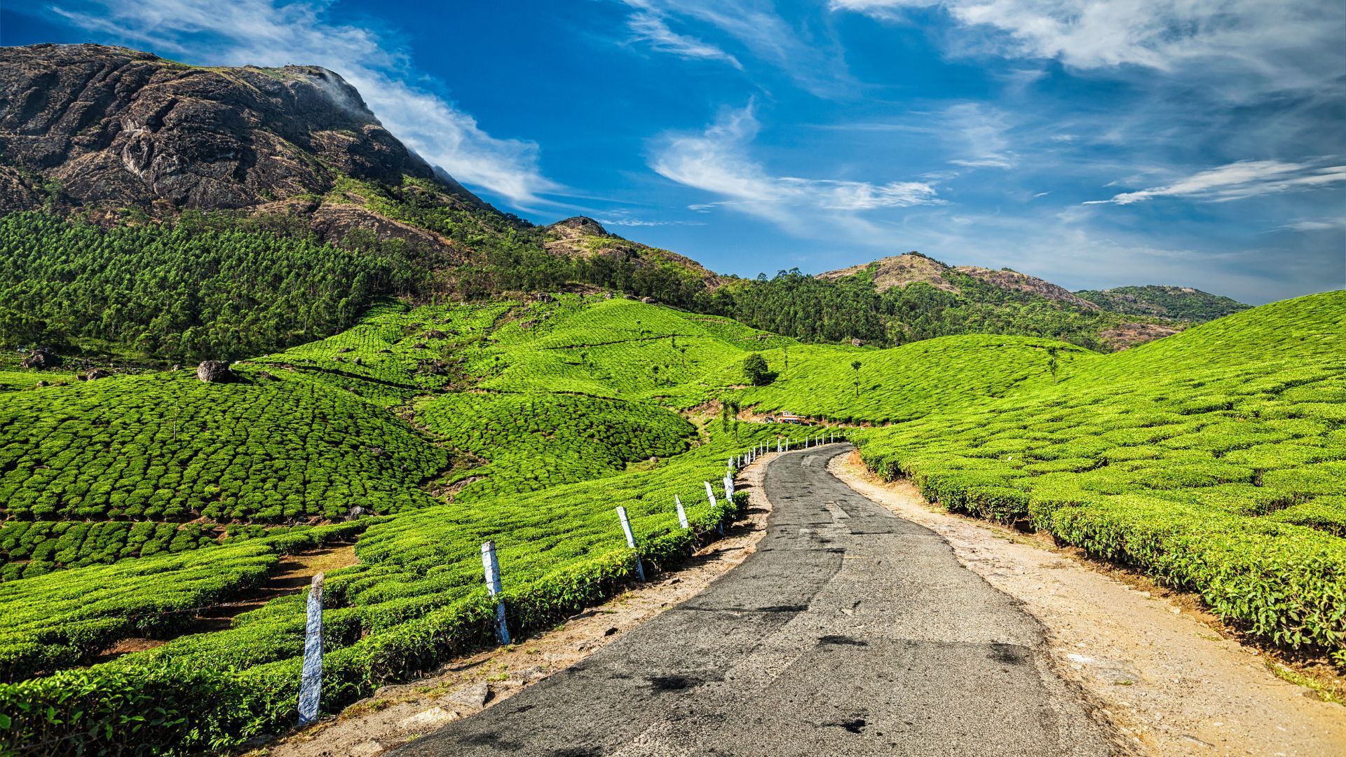 Goa Vs Kerala Trip: Guide To Choosing The Best Beach Destination 2024