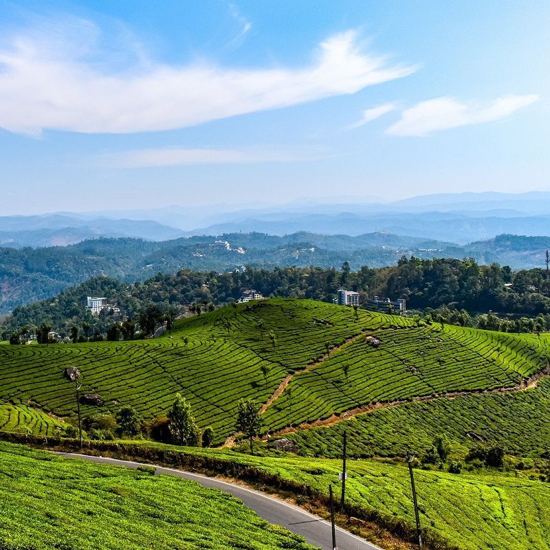Tourist Places In Wayanad: A Traveller's Guide To The 'Ooty Of Kerala'