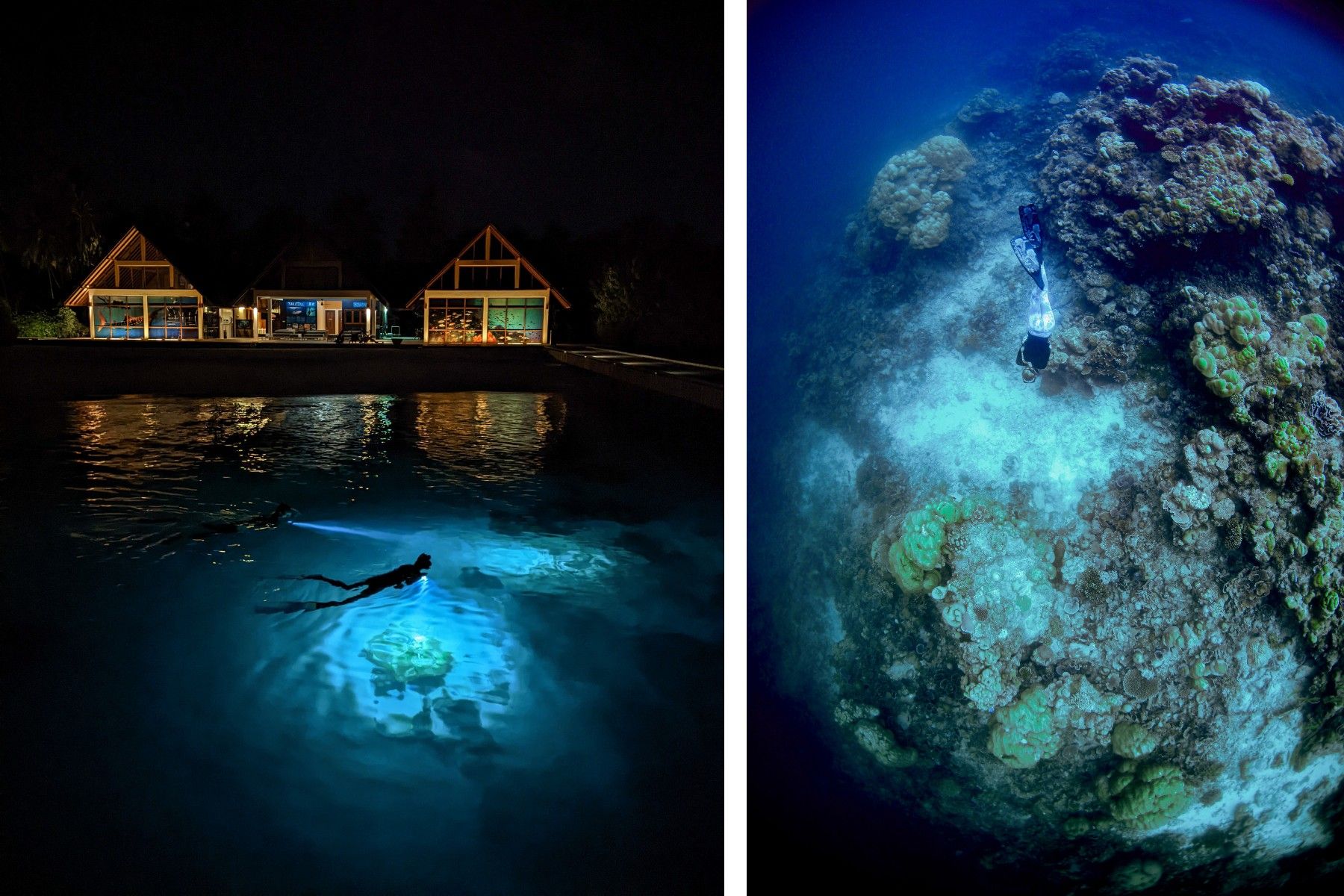 What Does a Marine Biologist in the Maldives Do All Day?