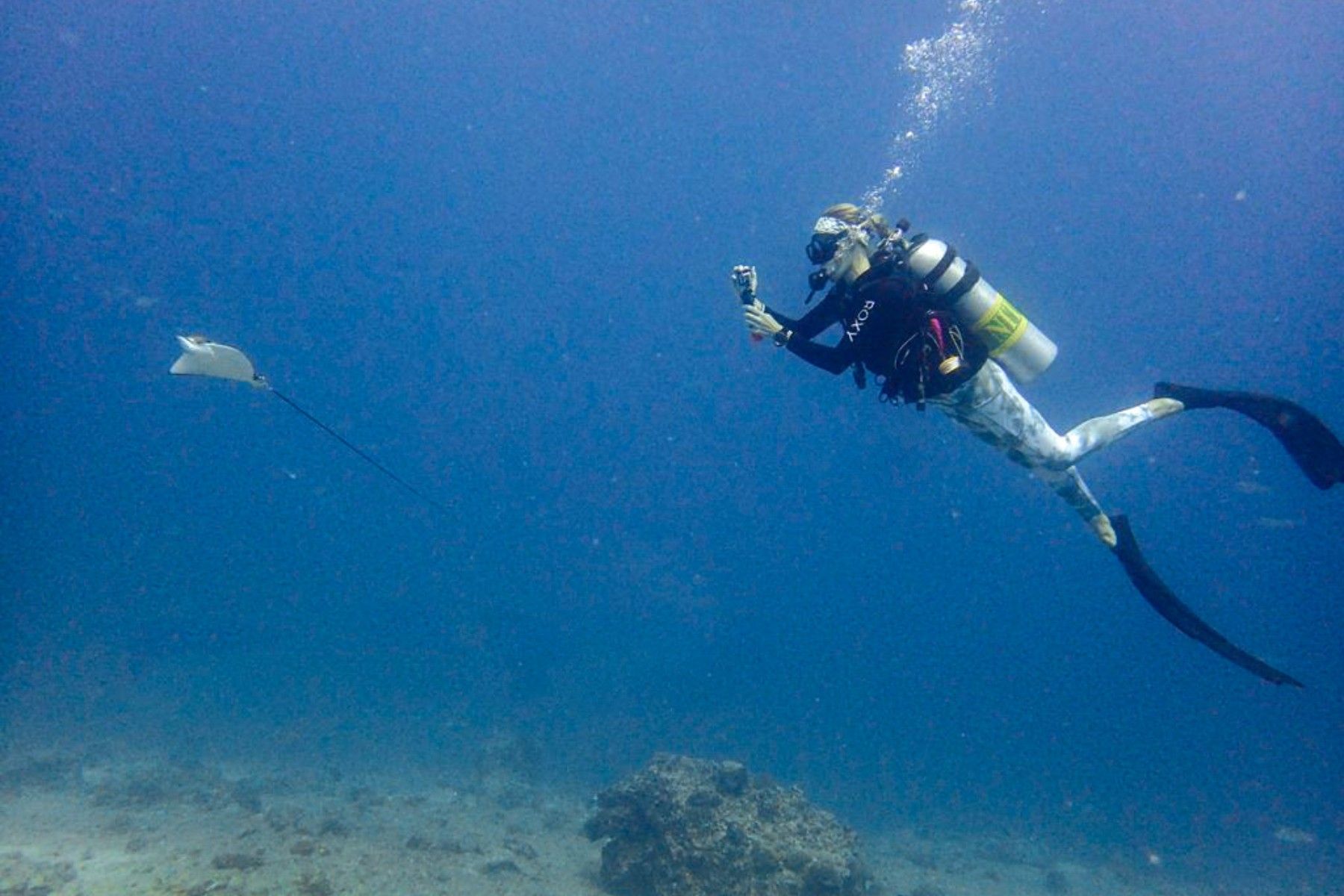 What Does a Marine Biologist in the Maldives Do All Day?