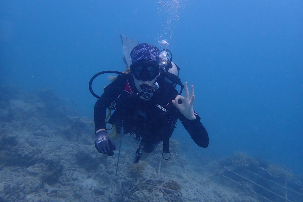 What Does a Marine Biologist in the Maldives Do All Day?