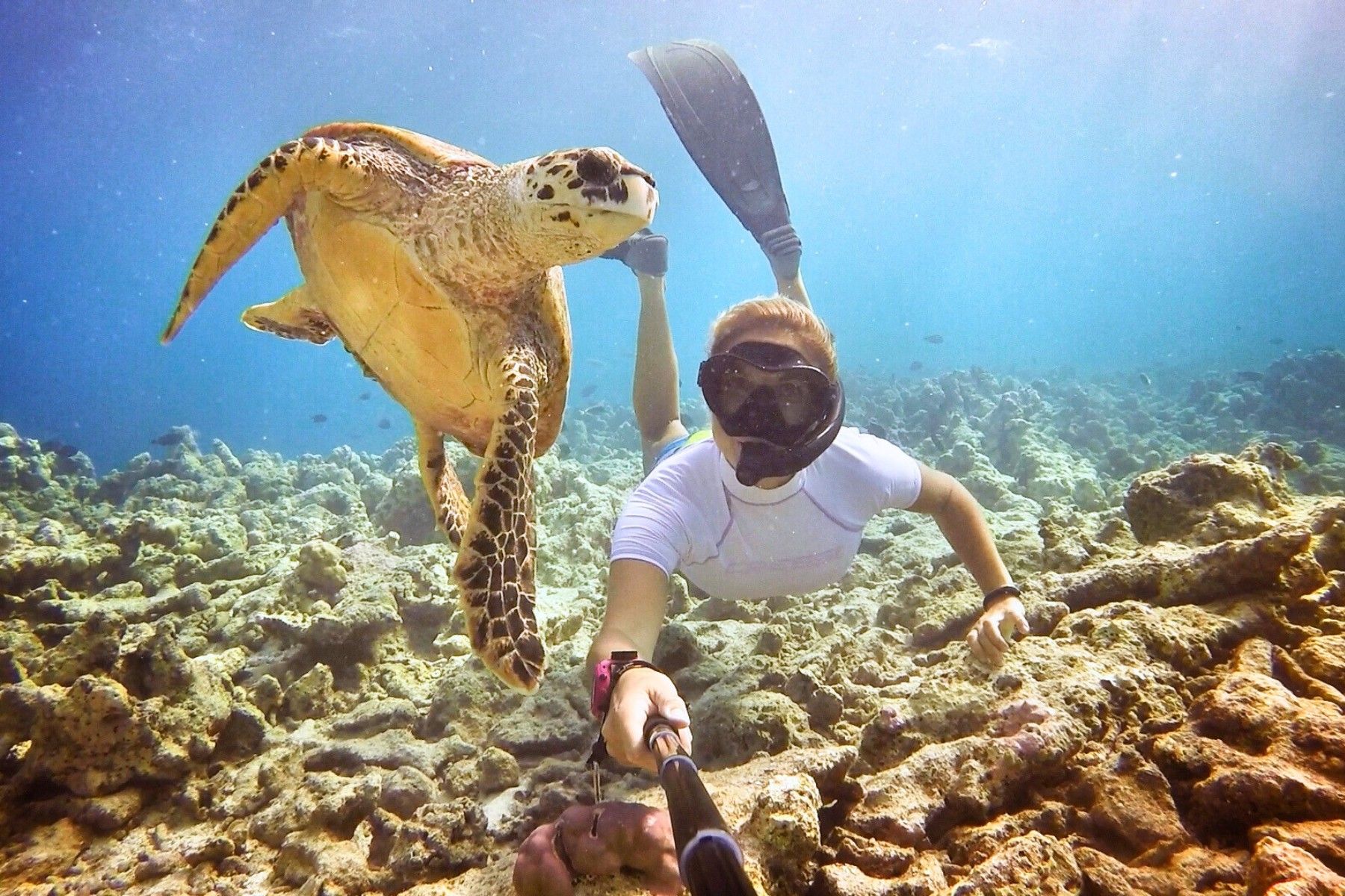 What Does a Marine Biologist in the Maldives Do All Day?