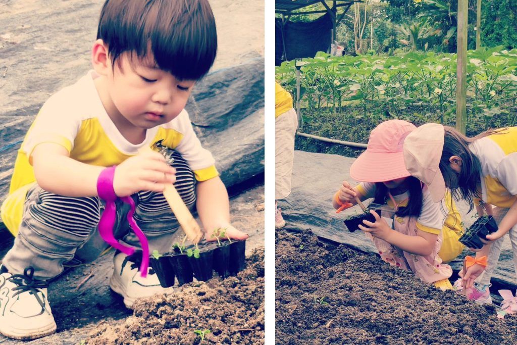 The Best Stops on a Malaysia Road Trip