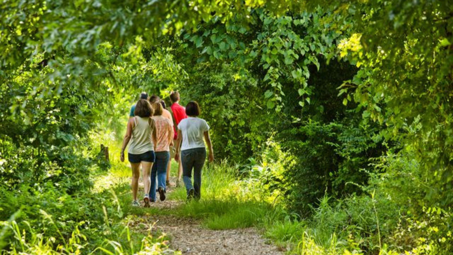 The Ultimate Guide To Ocmulgee Mounds National Historical Park