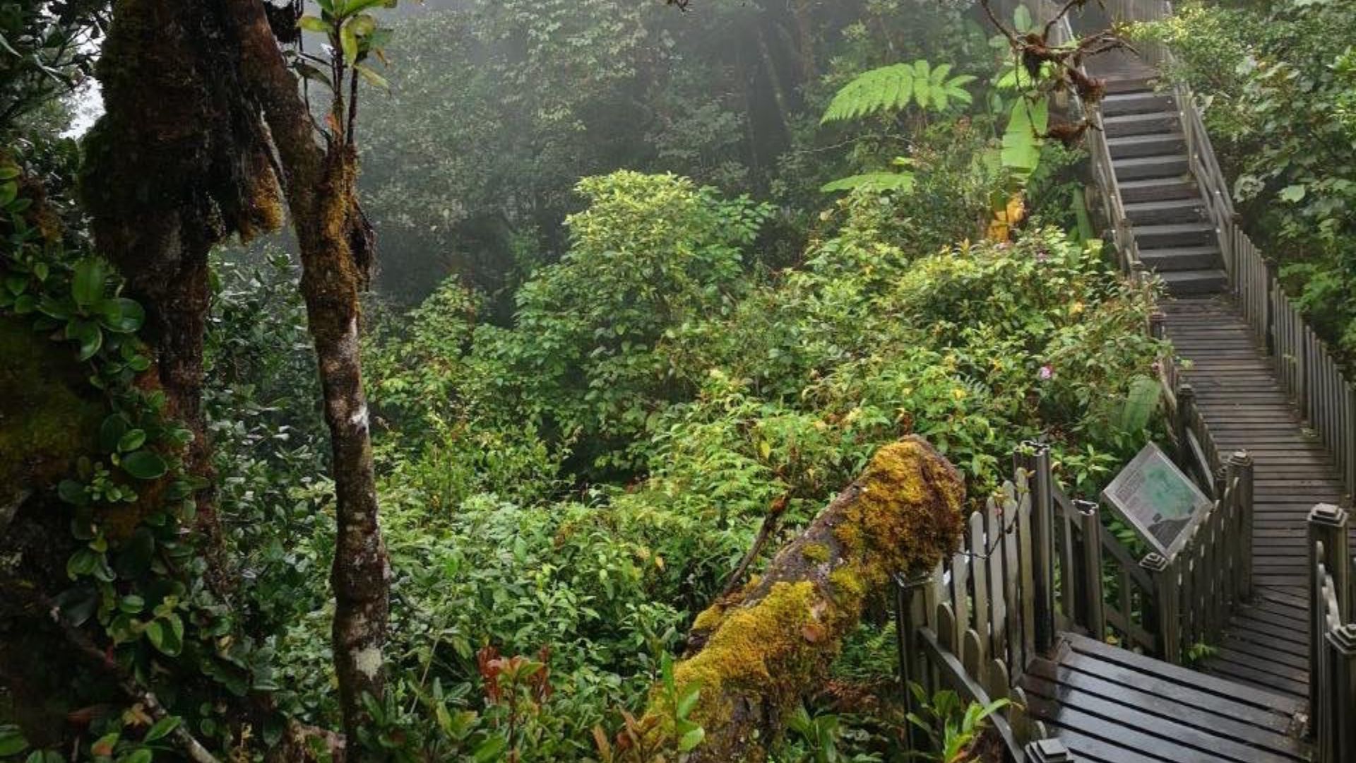 An Ultimate Guide To Visit Cameron Highlands Flora Park Malaysia 2024